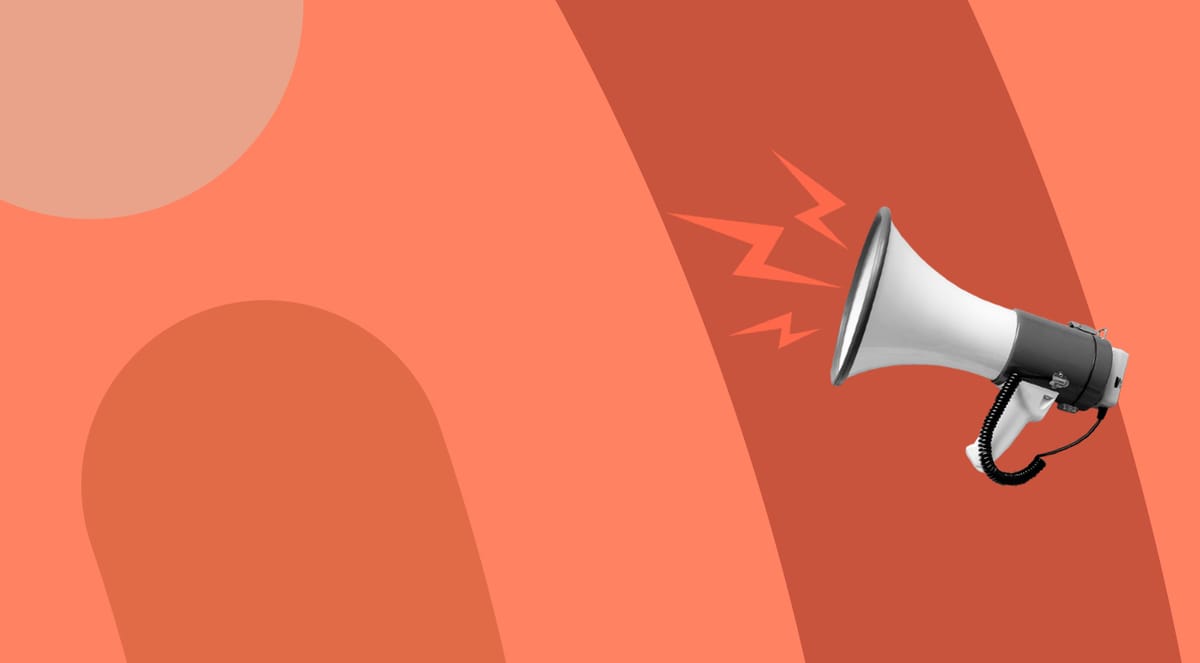 Urban Jungle Insurance awarded B Corp business accreditation | Urban Jungle